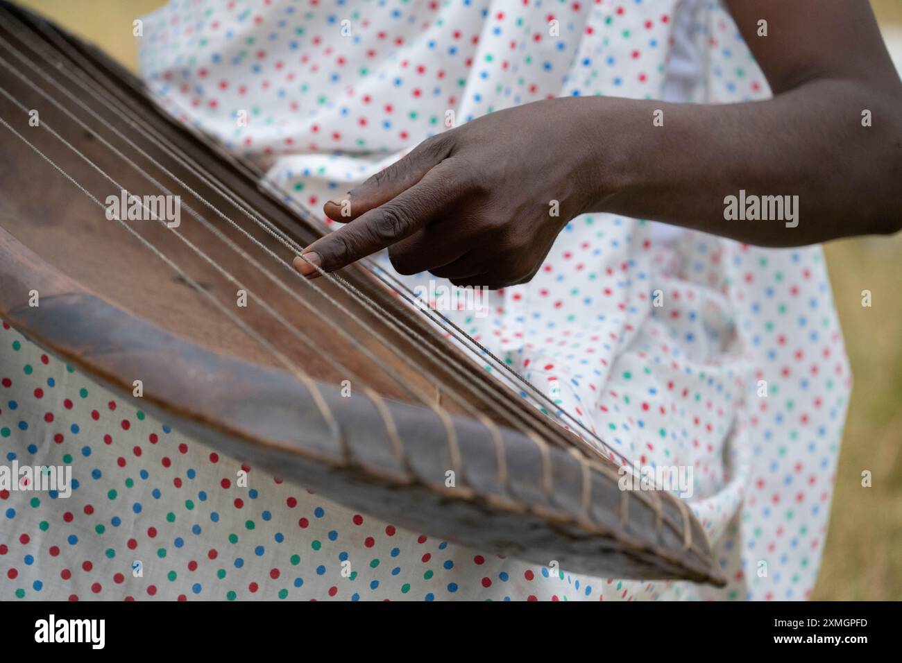 Traditional stringed instrument native to hi-res stock photography and ...