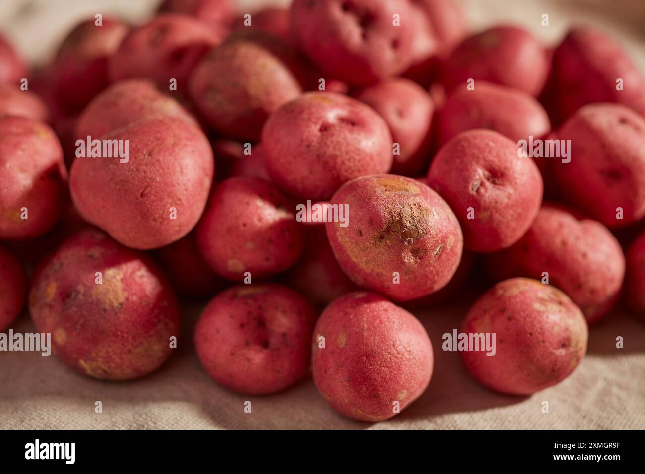Potatoes new hi-res stock photography and images - Alamy