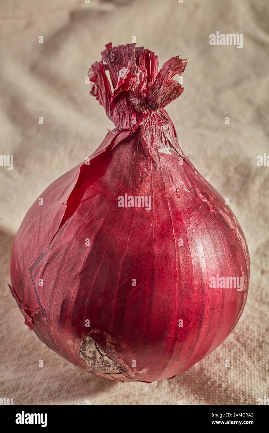 Bermuda onion hi-res stock photography and images - Alamy