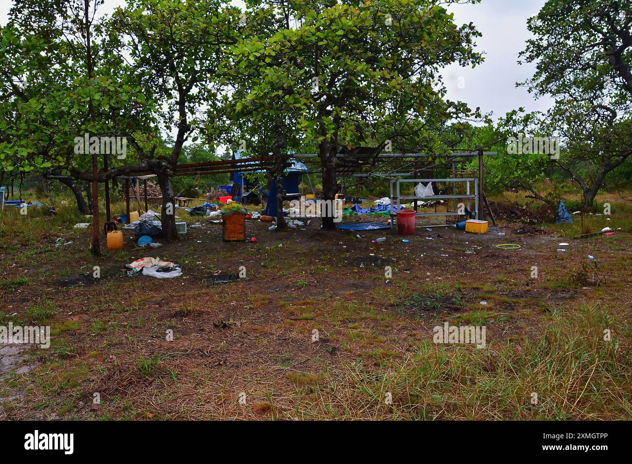 Trash in the nature in cambodia Stock Photo - Alamy