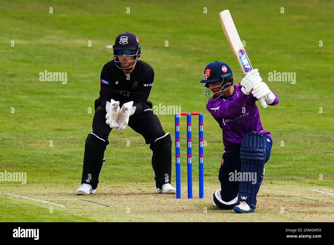 Robin stephenson hi-res stock photography and images - Alamy