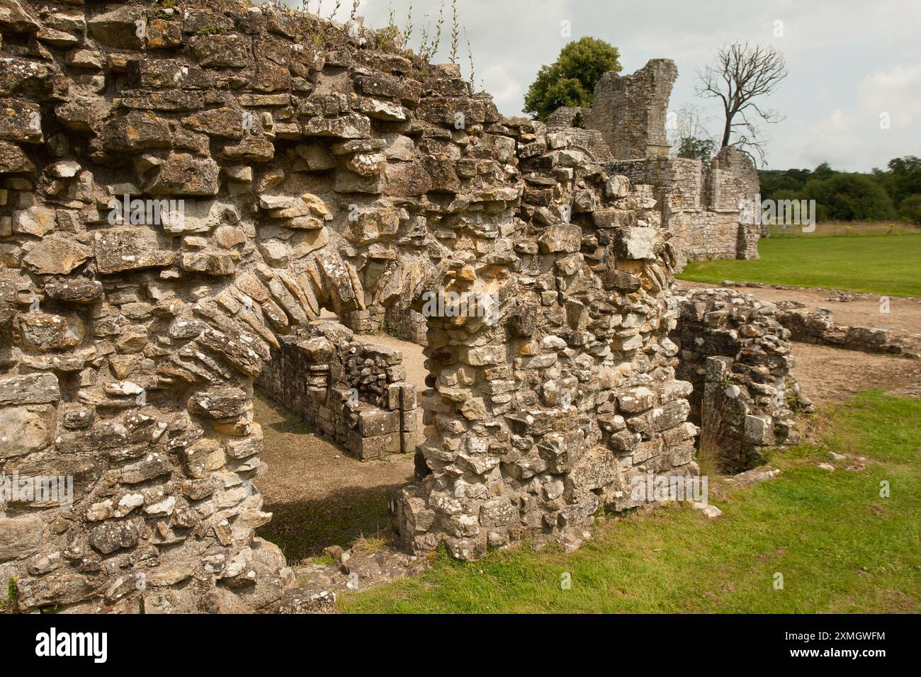 Bayham abbey tree hi-res stock photography and images - Alamy