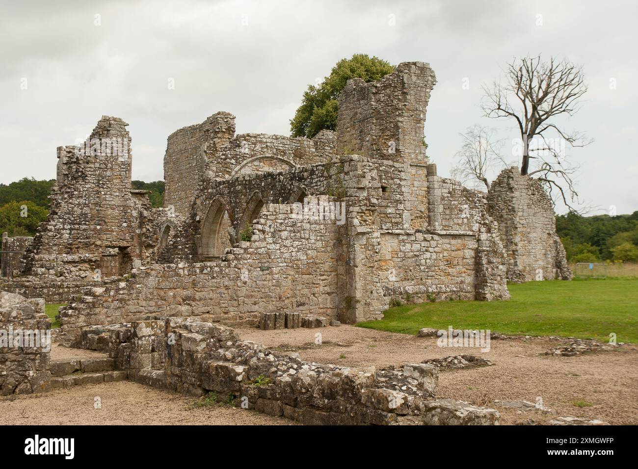 Bayham abbey tree hi-res stock photography and images - Alamy