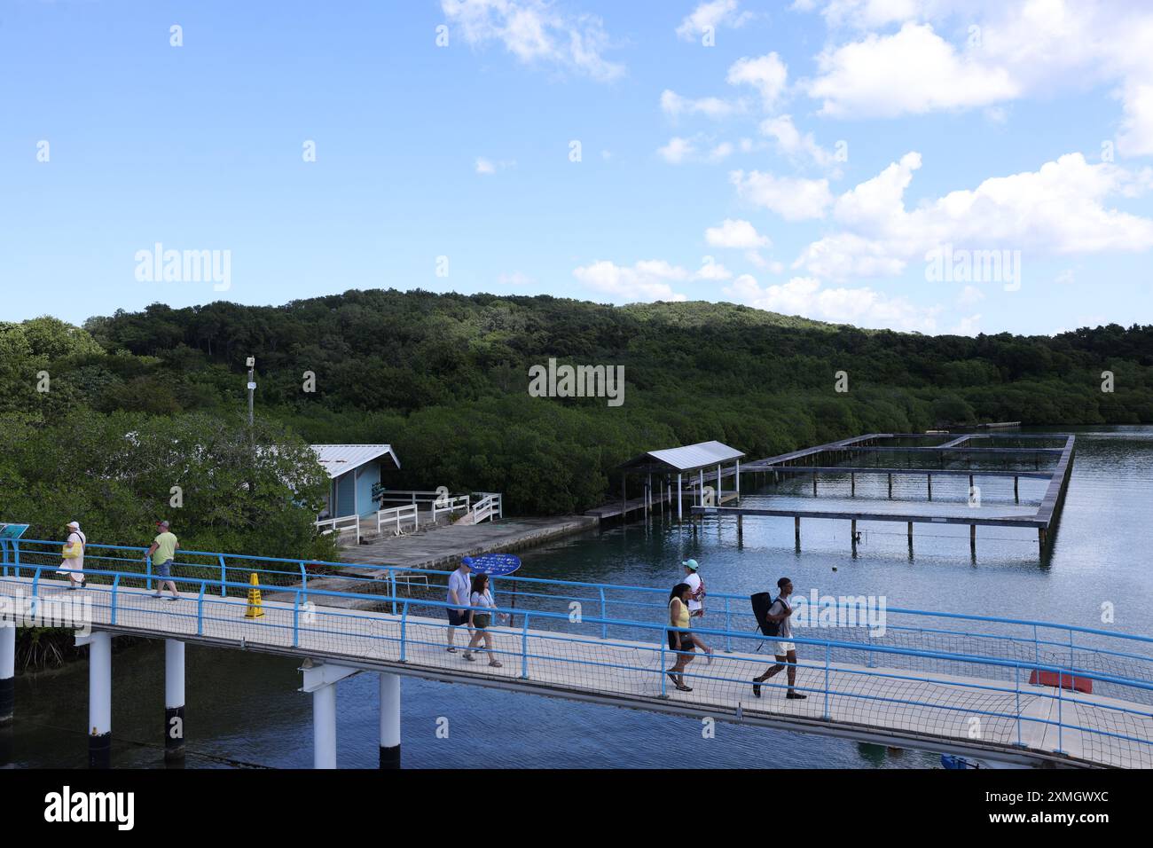 The Port of Roatan is one of two cruise ports in Roatan Stock Photo - Alamy