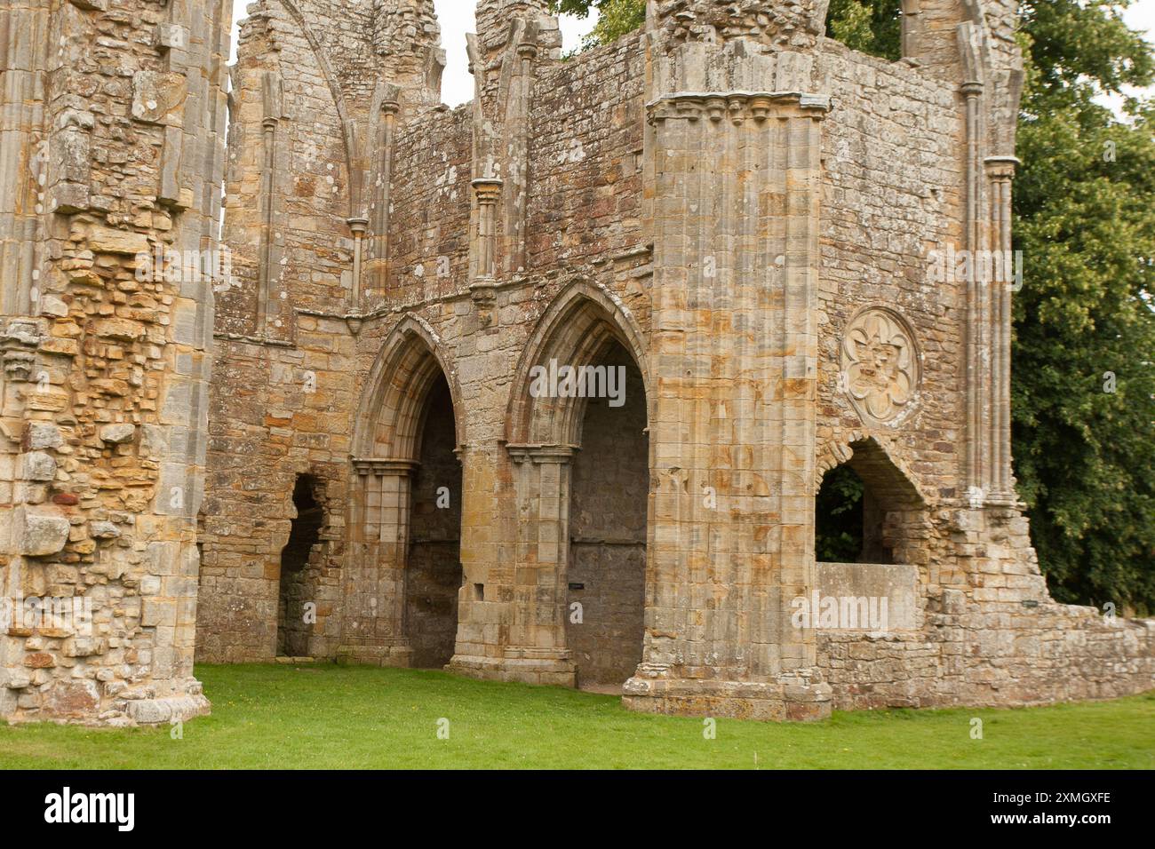 Bayham abbey tree hi-res stock photography and images - Alamy