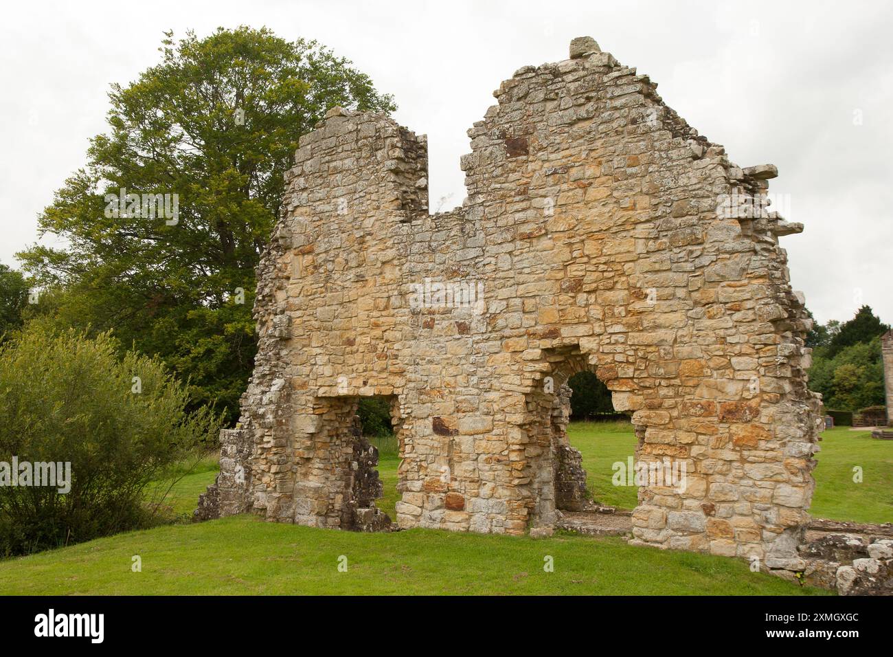 Bayham abbey tree hi-res stock photography and images - Alamy