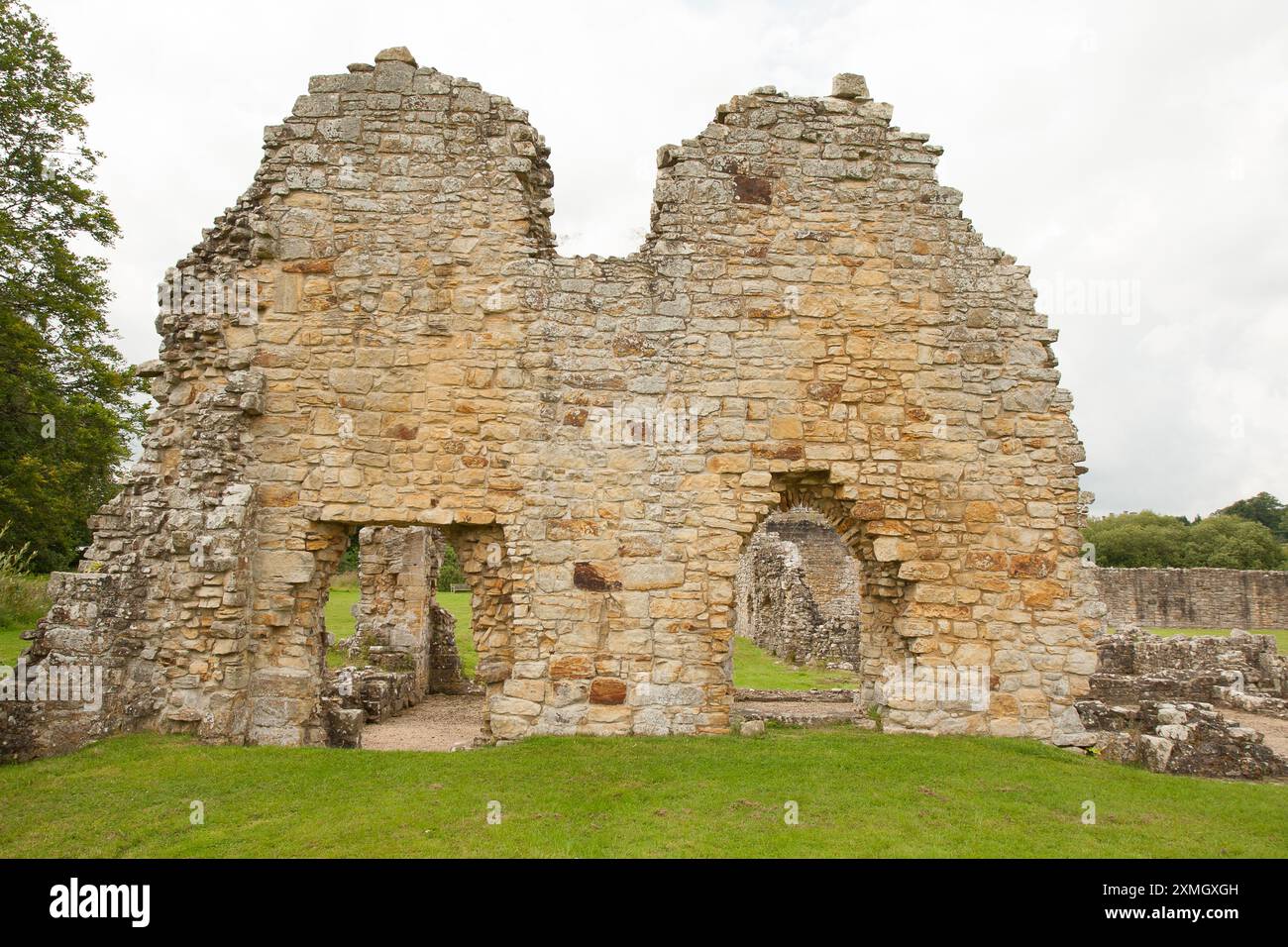 Bayham abbey tree hi-res stock photography and images - Alamy