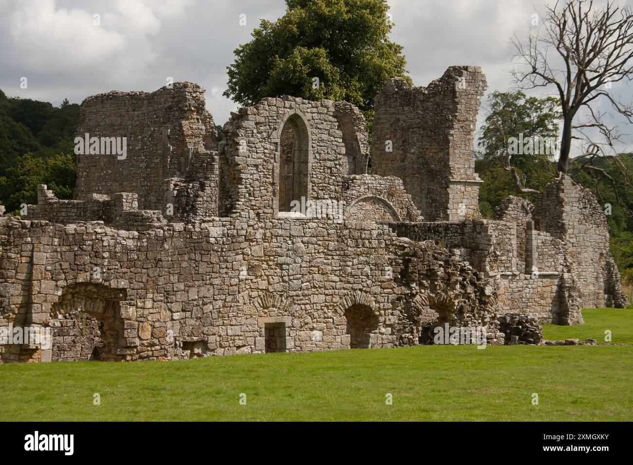 Bayham abbey tree hi-res stock photography and images - Alamy