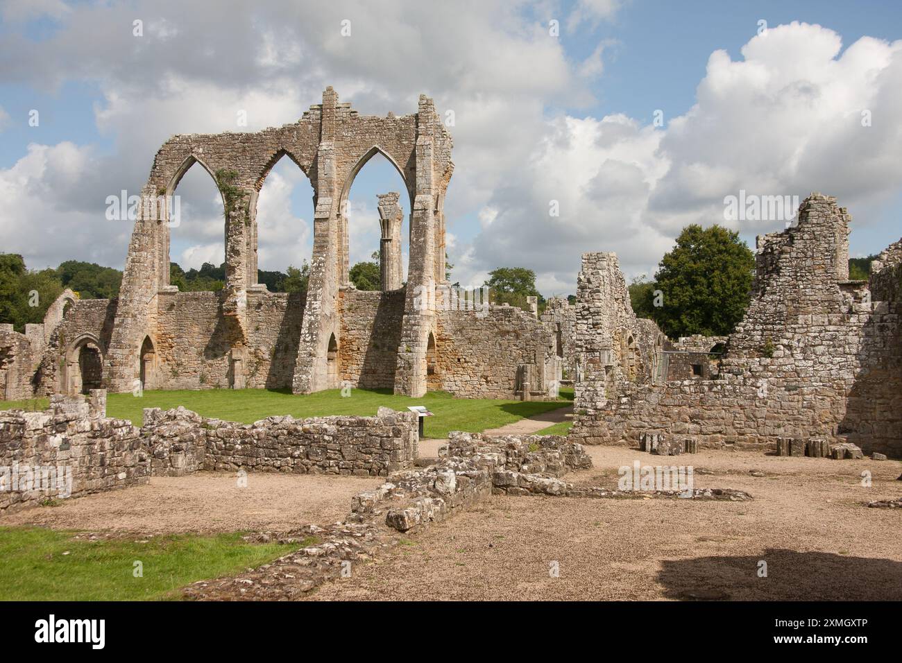 Bayham abbey tree hi-res stock photography and images - Alamy