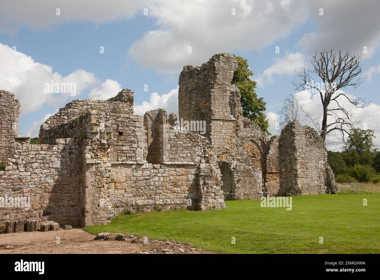 Bayham abbey tree hi-res stock photography and images - Alamy