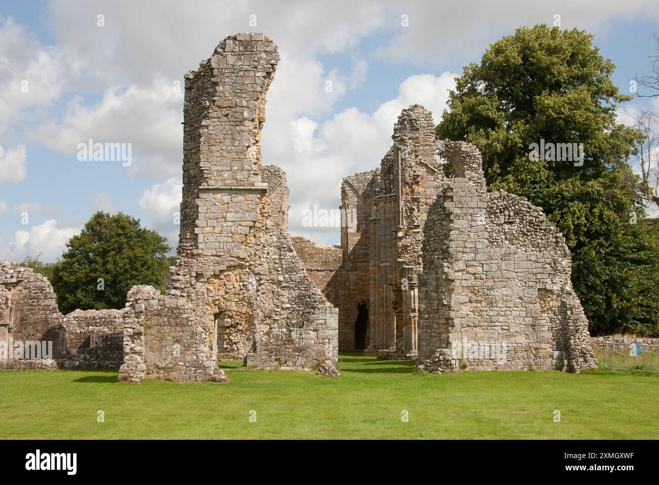 Bayham abbey tree hi-res stock photography and images - Alamy