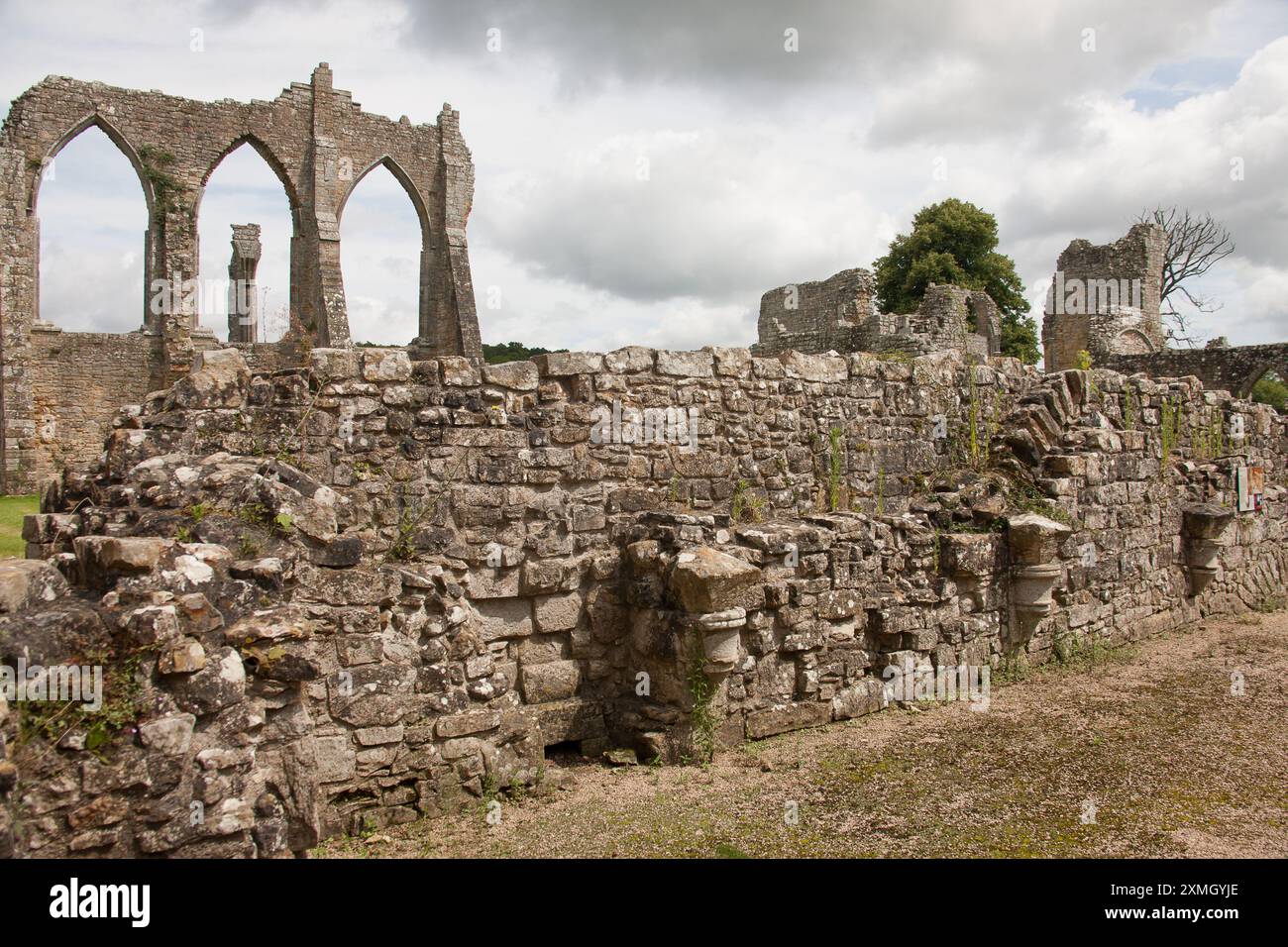 Bayham abbey tree hi-res stock photography and images - Alamy