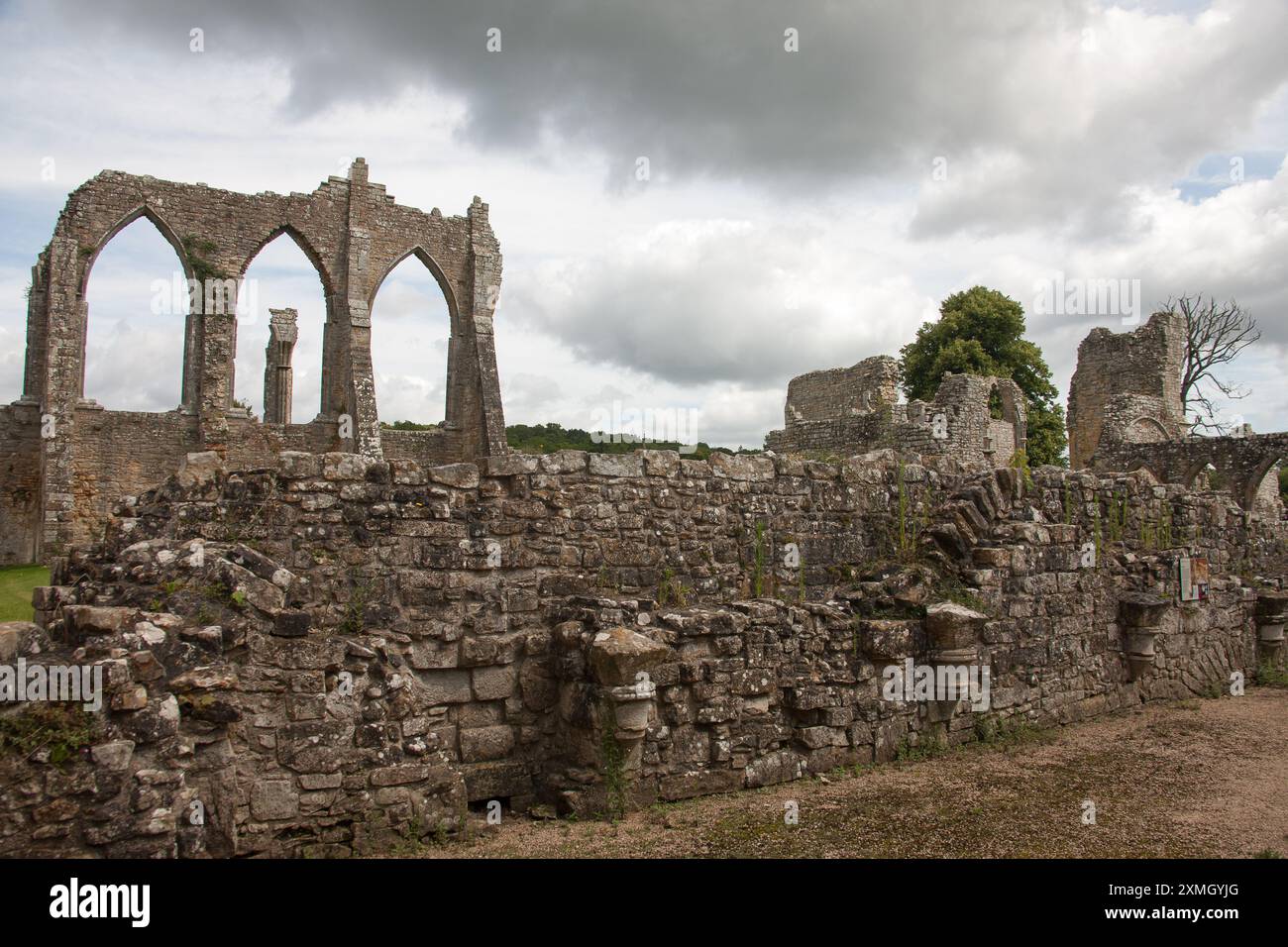 Bayham abbey tree hi-res stock photography and images - Alamy