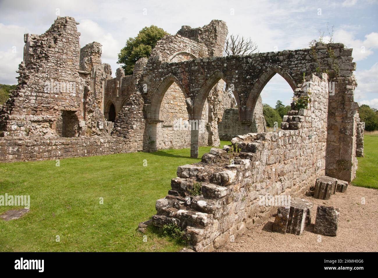 Bayham abbey tree hi-res stock photography and images - Alamy
