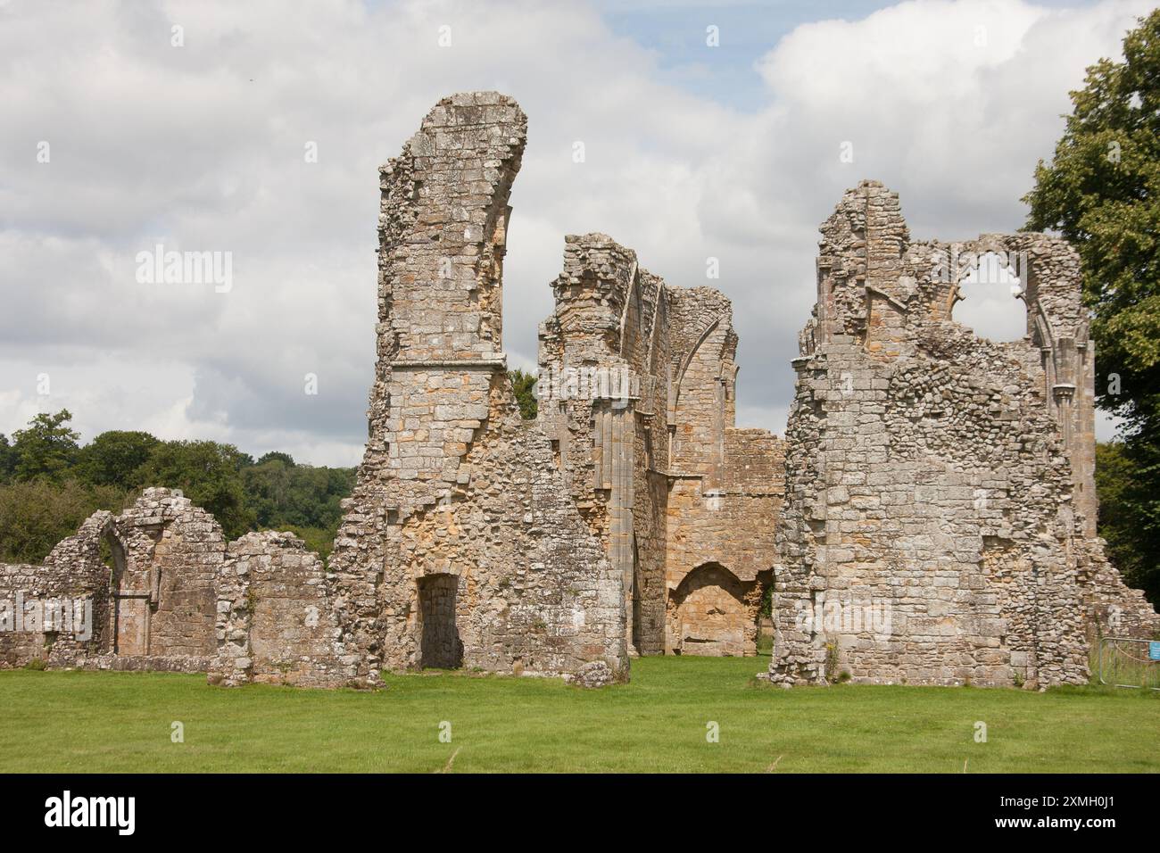 Bayham abbey tree hi-res stock photography and images - Alamy
