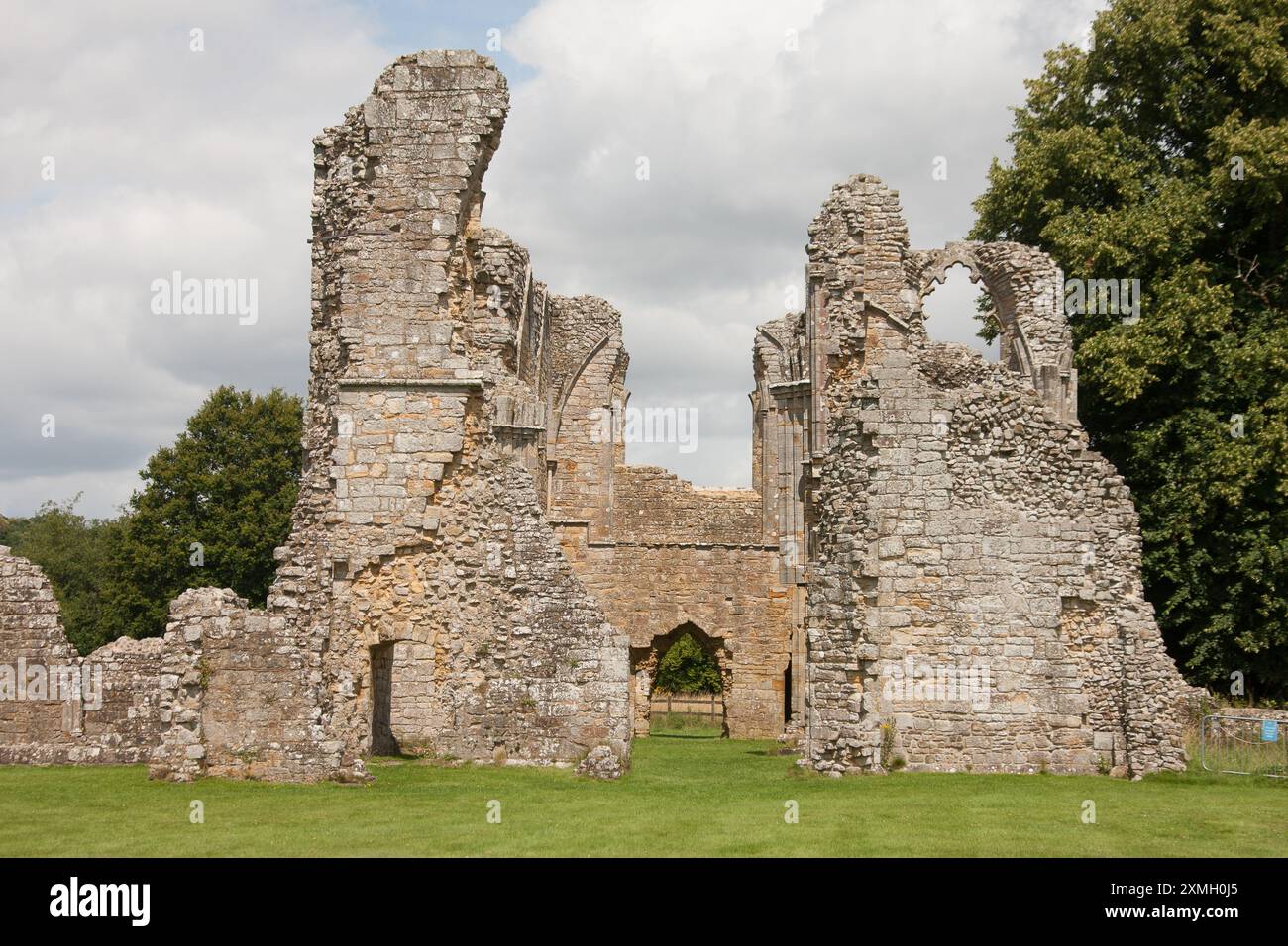 Bayham abbey tree hi-res stock photography and images - Alamy