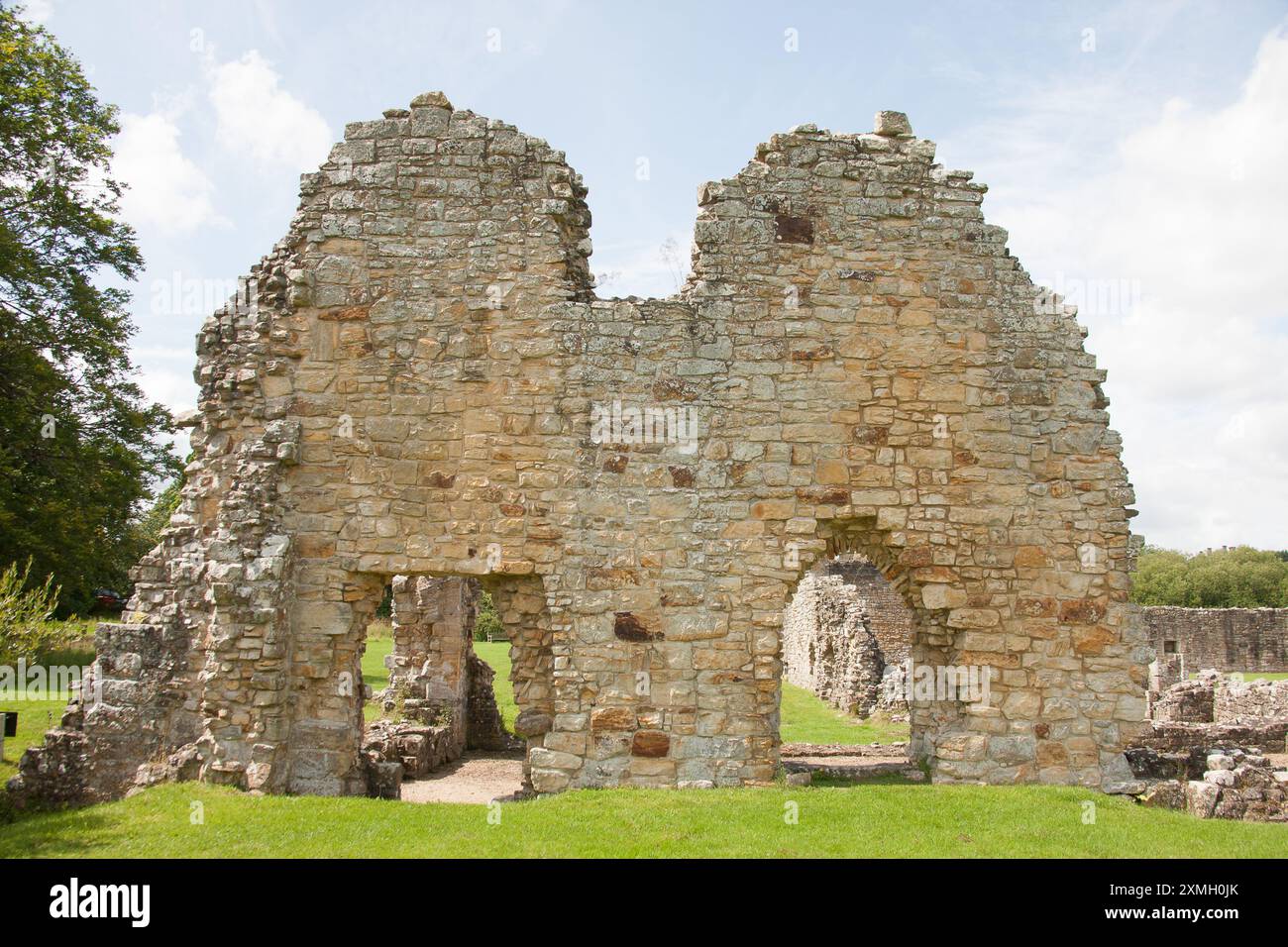 Bayham abbey tree hi-res stock photography and images - Alamy