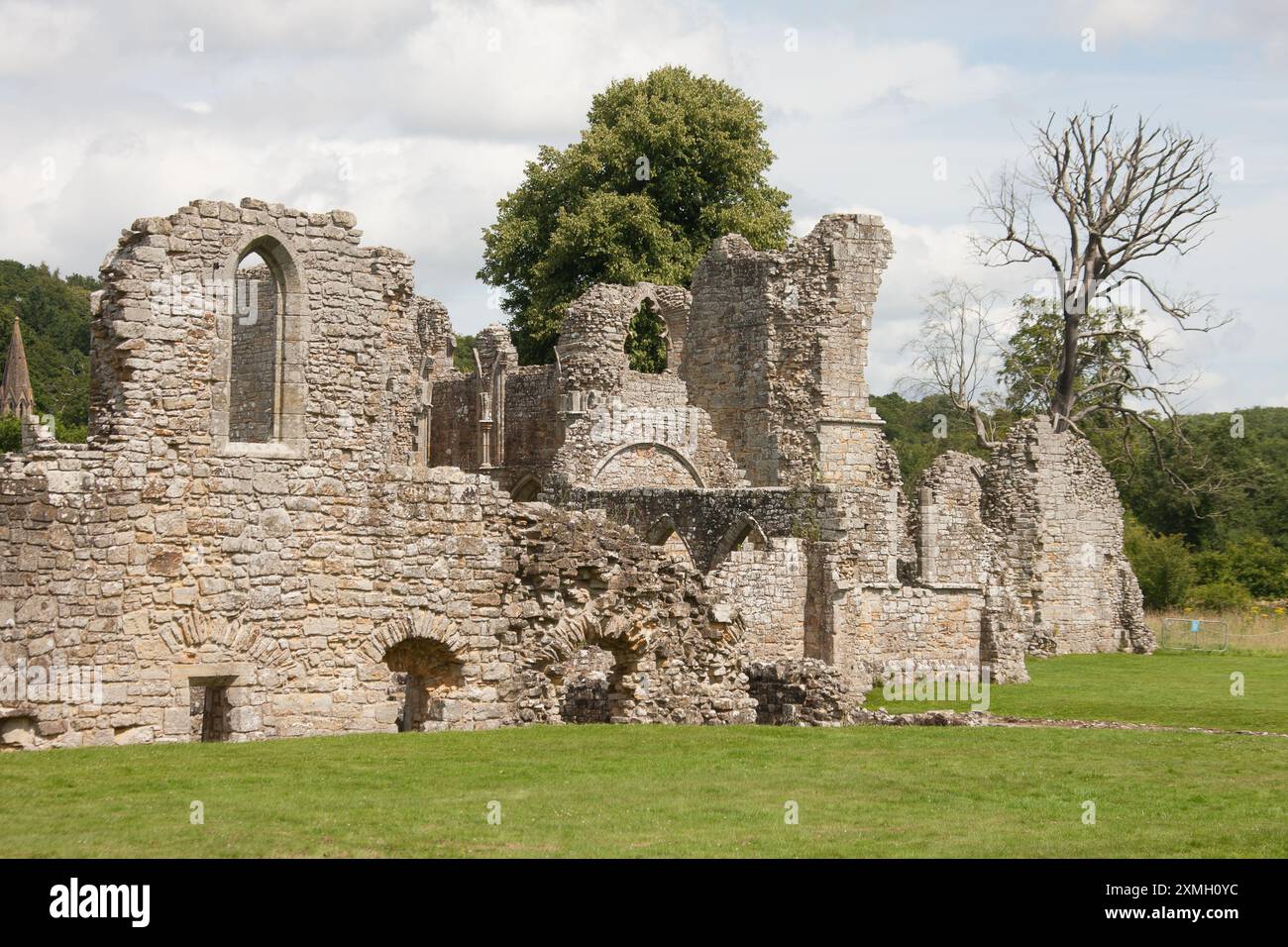 Bayham abbey tree hi-res stock photography and images - Alamy