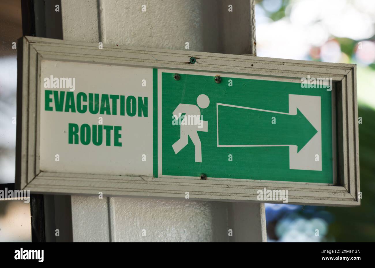 Green fire escape sign hang on the ceiling in the office Stock Photo ...