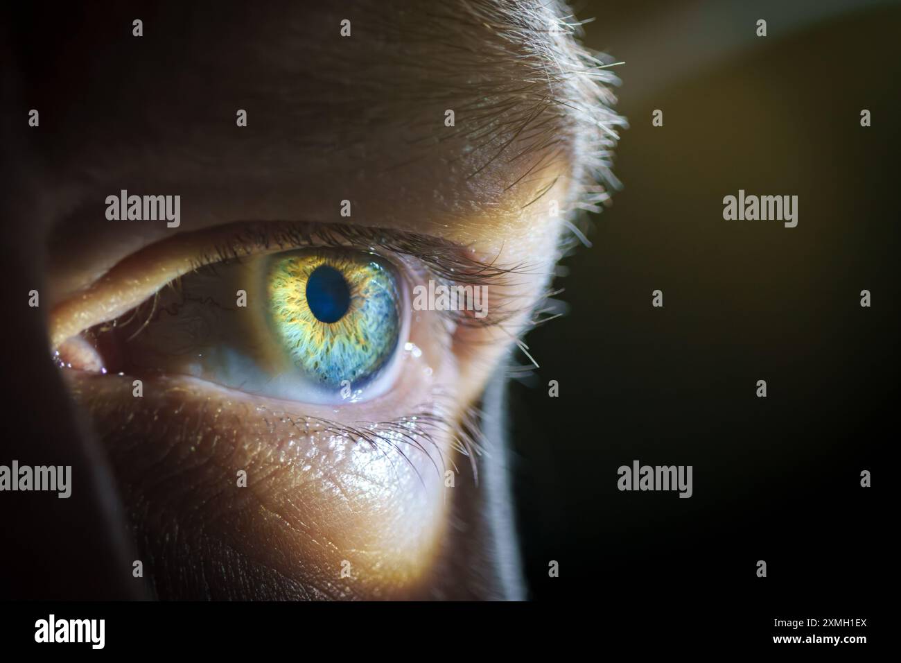 A mesmerizing closeup photo of a human eye with brilliant colors and ...