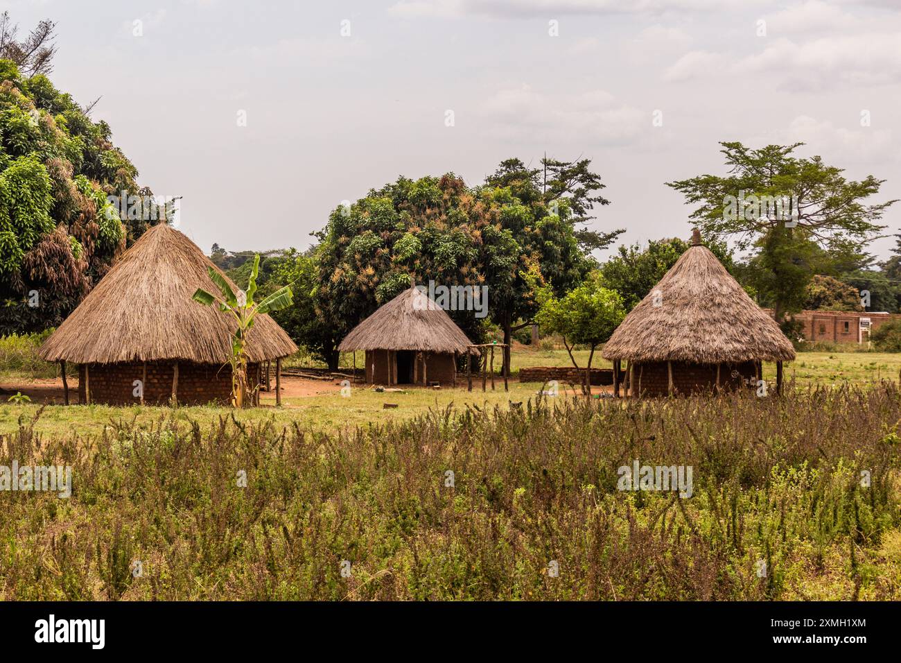 Village huts in Nyero, Uganda Stock Photo - Alamy