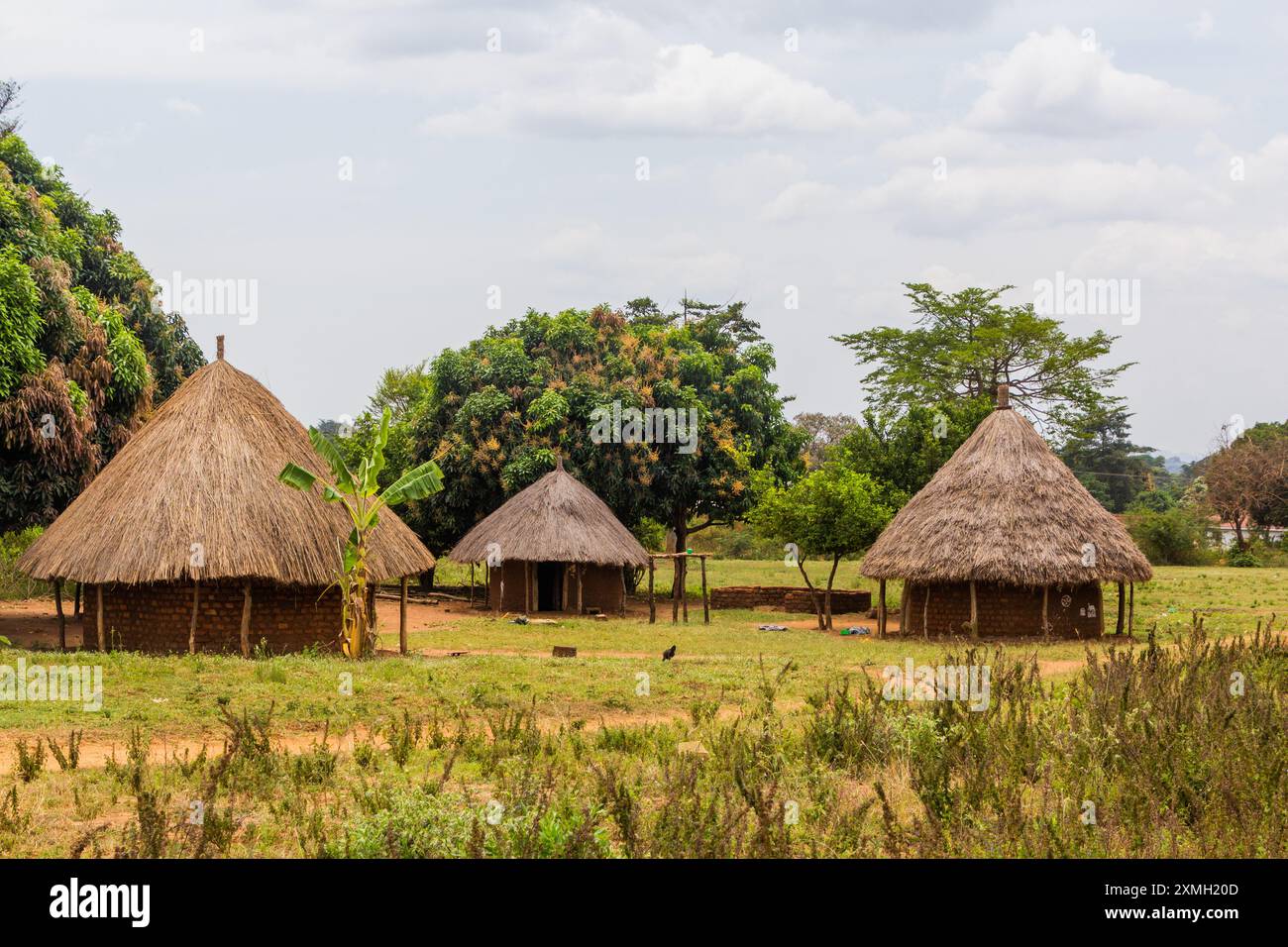 Village huts in Nyero, Uganda Stock Photo - Alamy