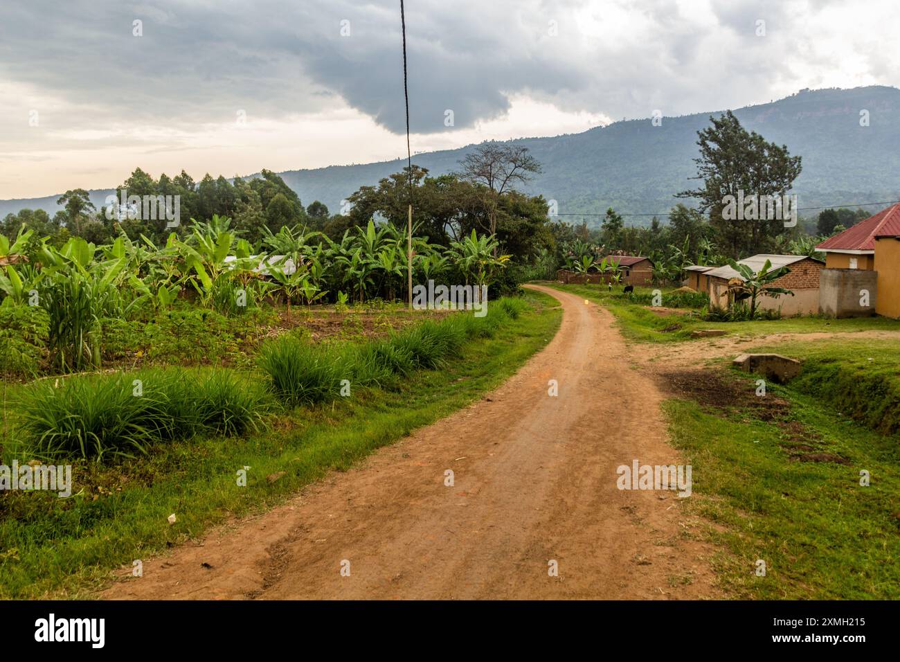 Unpaved road in Budadiri village, Uganda Stock Photo - Alamy