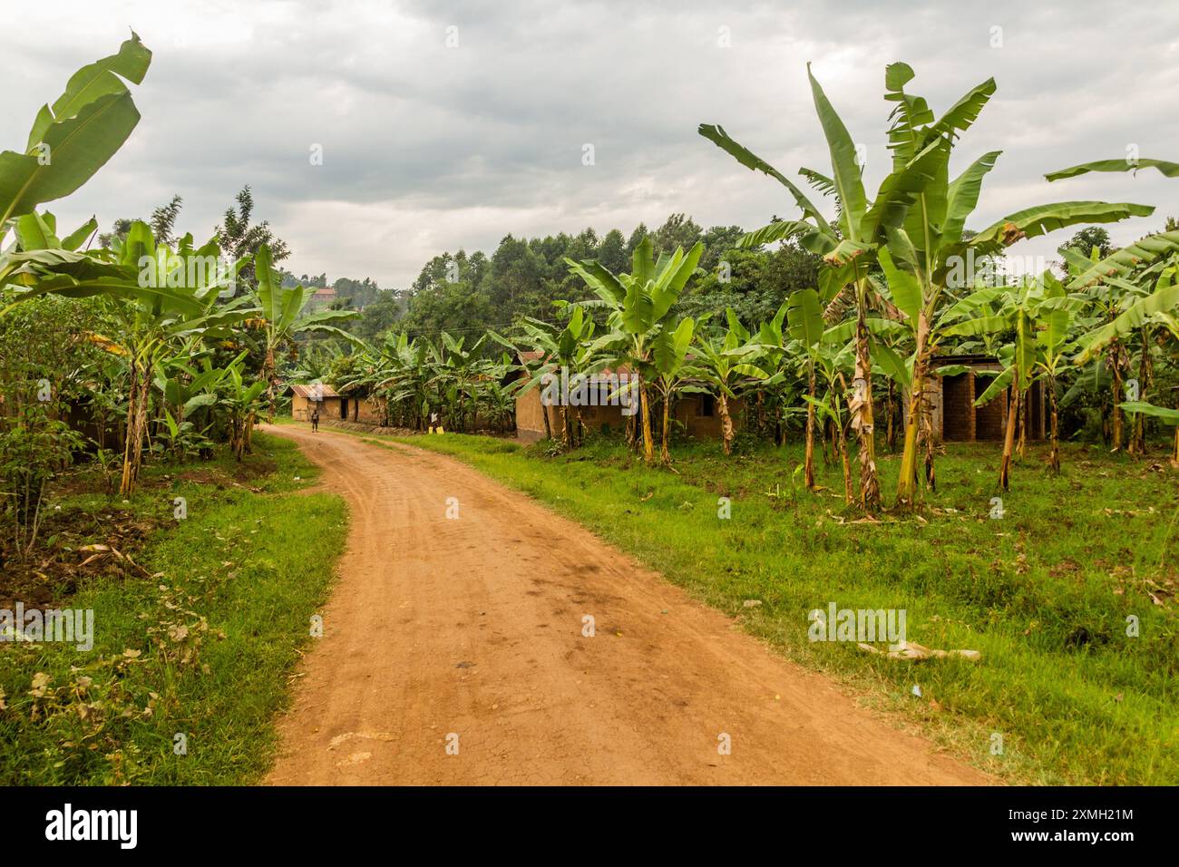 Road in Budadiri village, eastern Uganda Stock Photo - Alamy