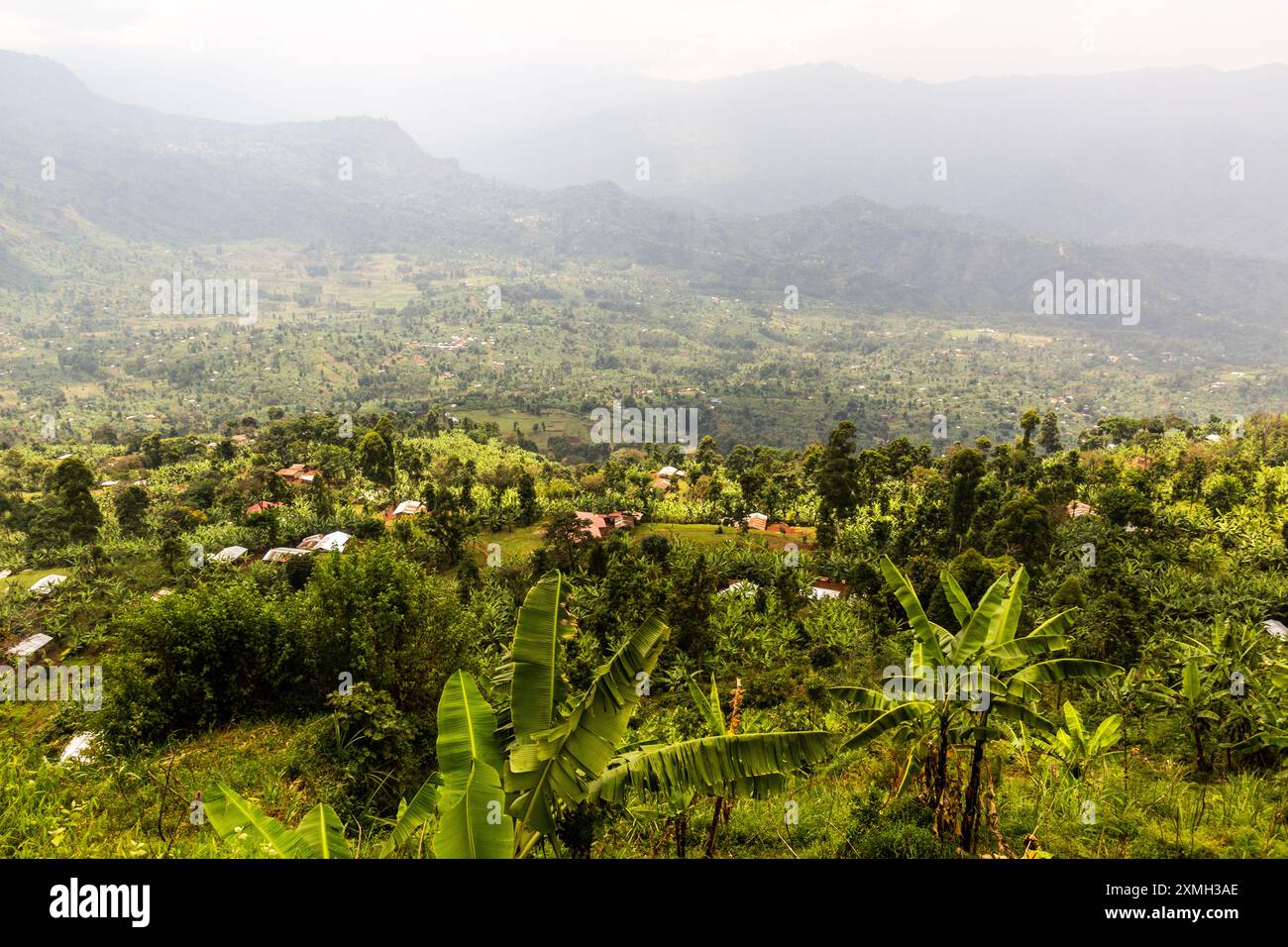 Rural landscape near Mount Elgon, Uganda Stock Photo - Alamy