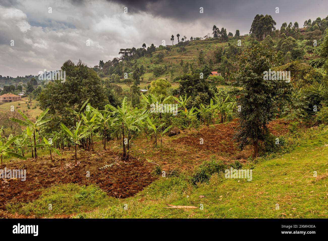 Rural landscape of Sipi village, Uganda Stock Photo - Alamy
