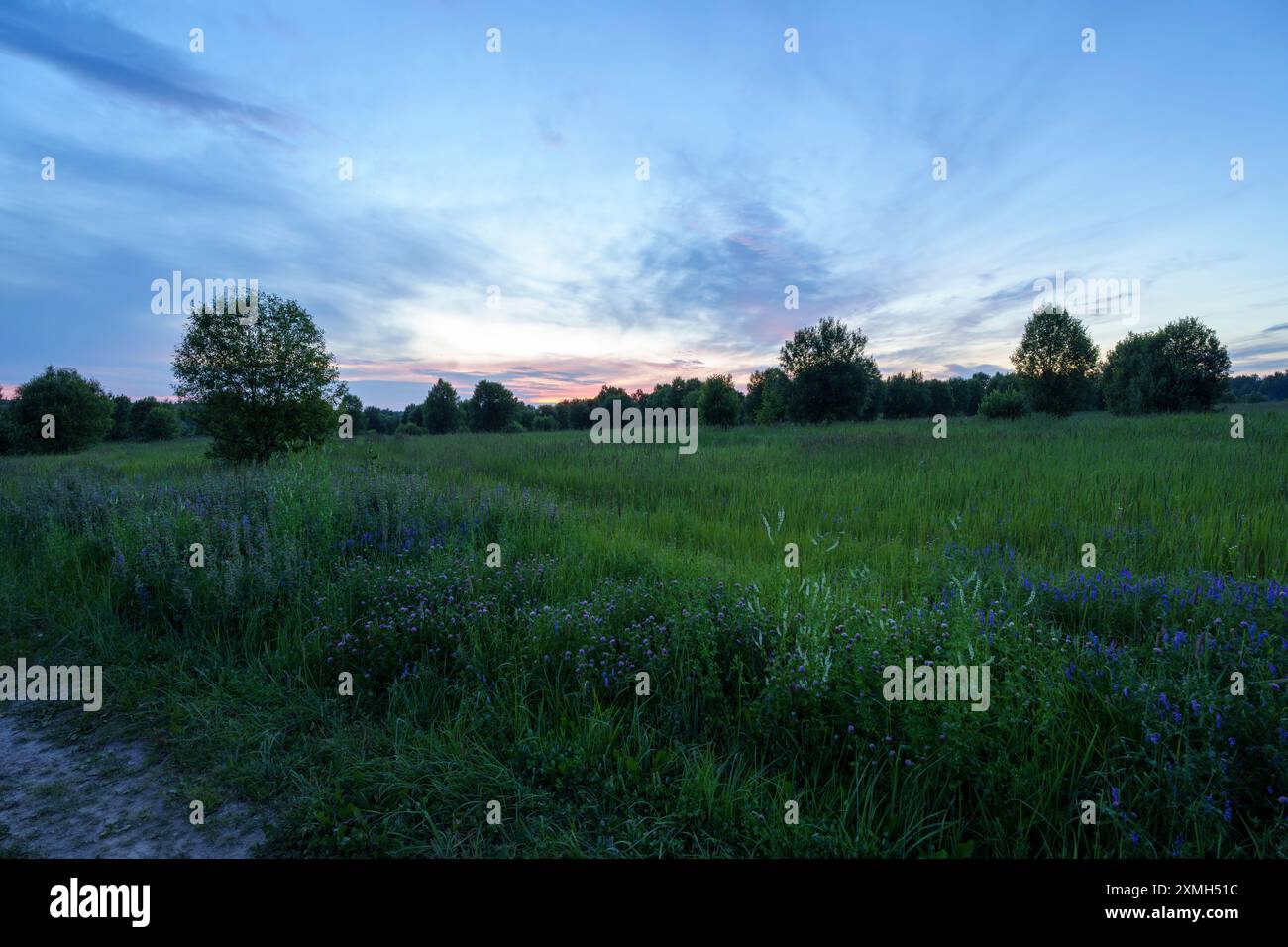 A beautiful twilight scene with a mist-covered field and a vibrant ...