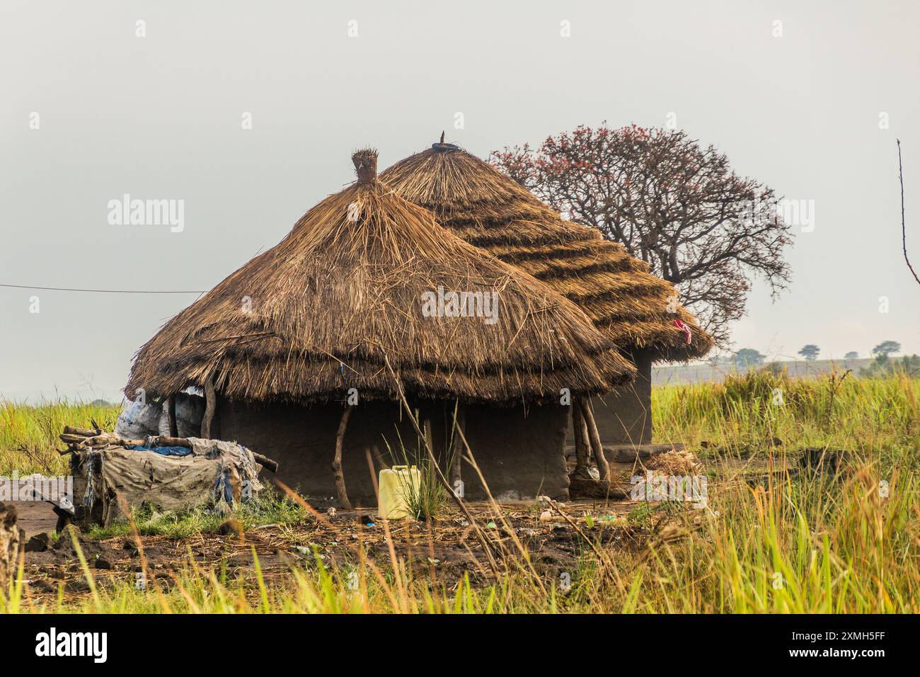 Rural houses in northern Uganda Stock Photo - Alamy
