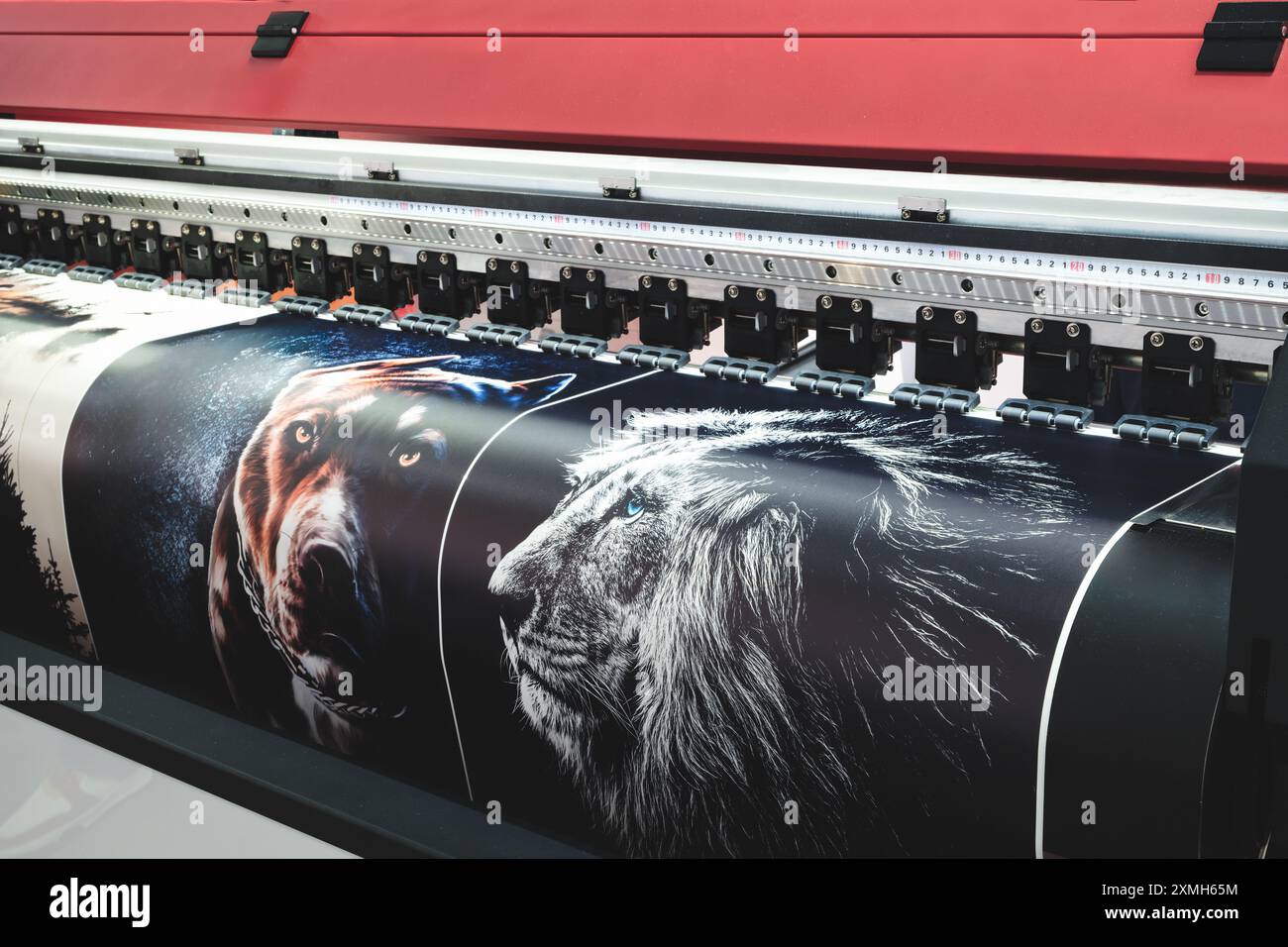 A large printer is printing a series of images, including a dog and a ...