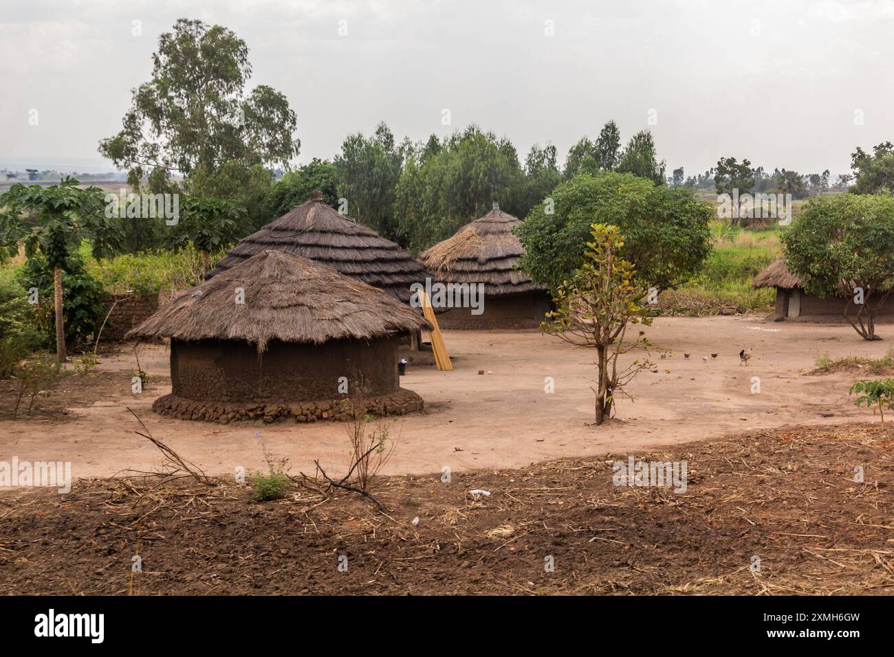 Village huts in northern Uganda Stock Photo - Alamy