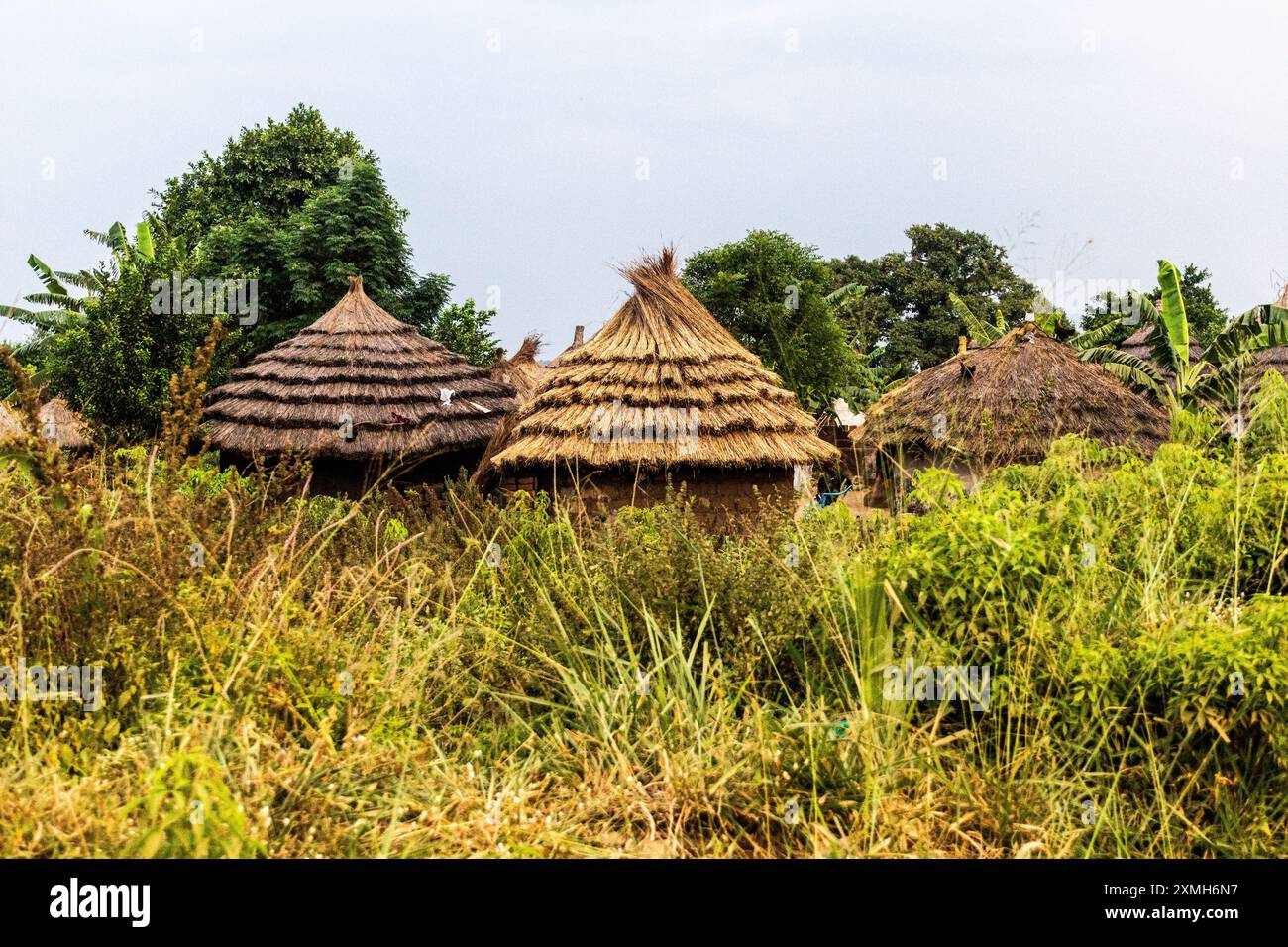 Round huts in Pakwach town, Uganda Stock Photo - Alamy