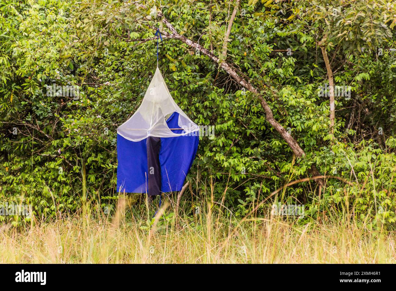 Tse tse fly trap in Ziwa Rhino Sanctuary, Uganda Stock Photo - Alamy