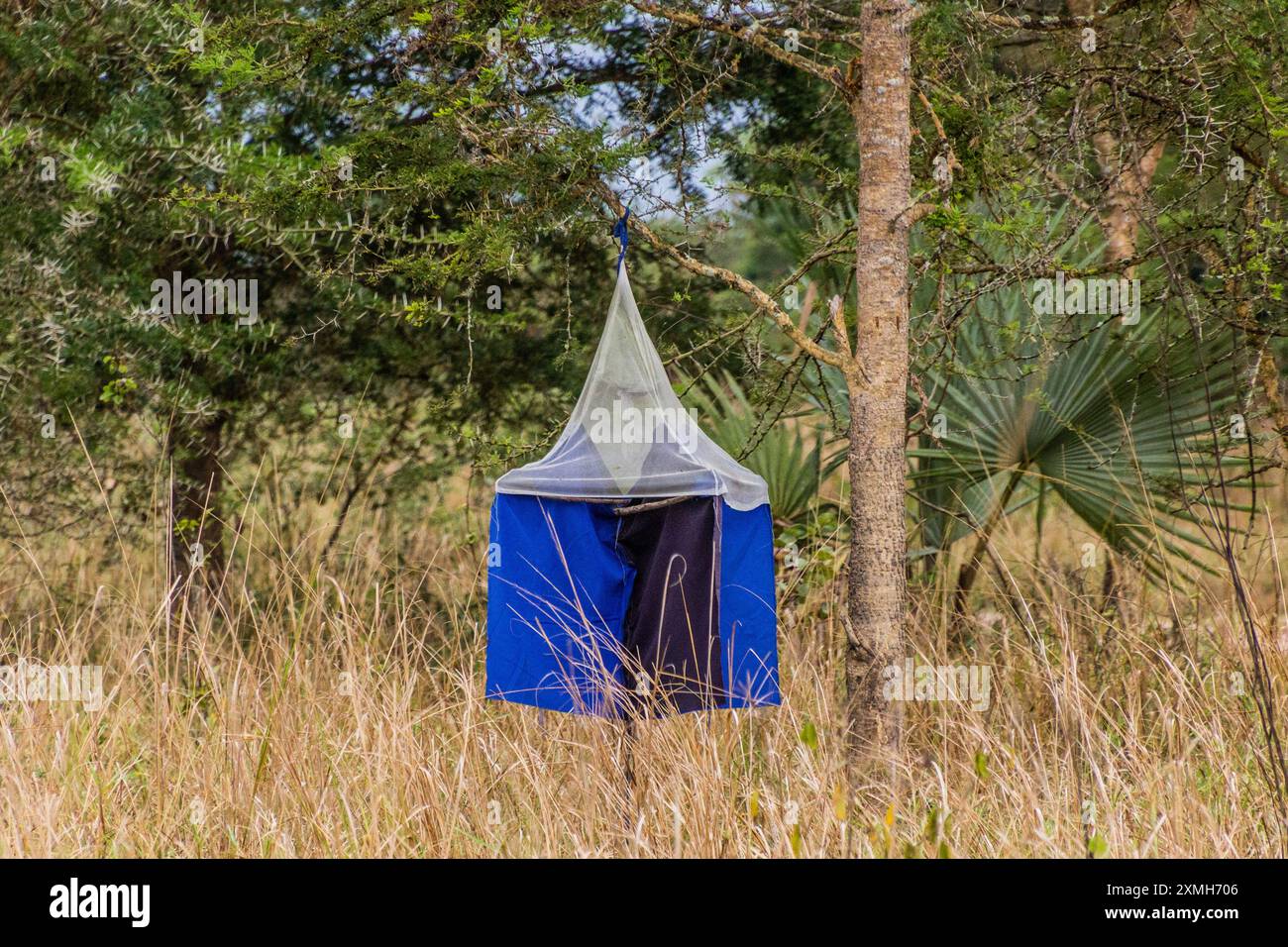 Tse tse fly trap in Ziwa Rhino Sanctuary, Uganda Stock Photo - Alamy