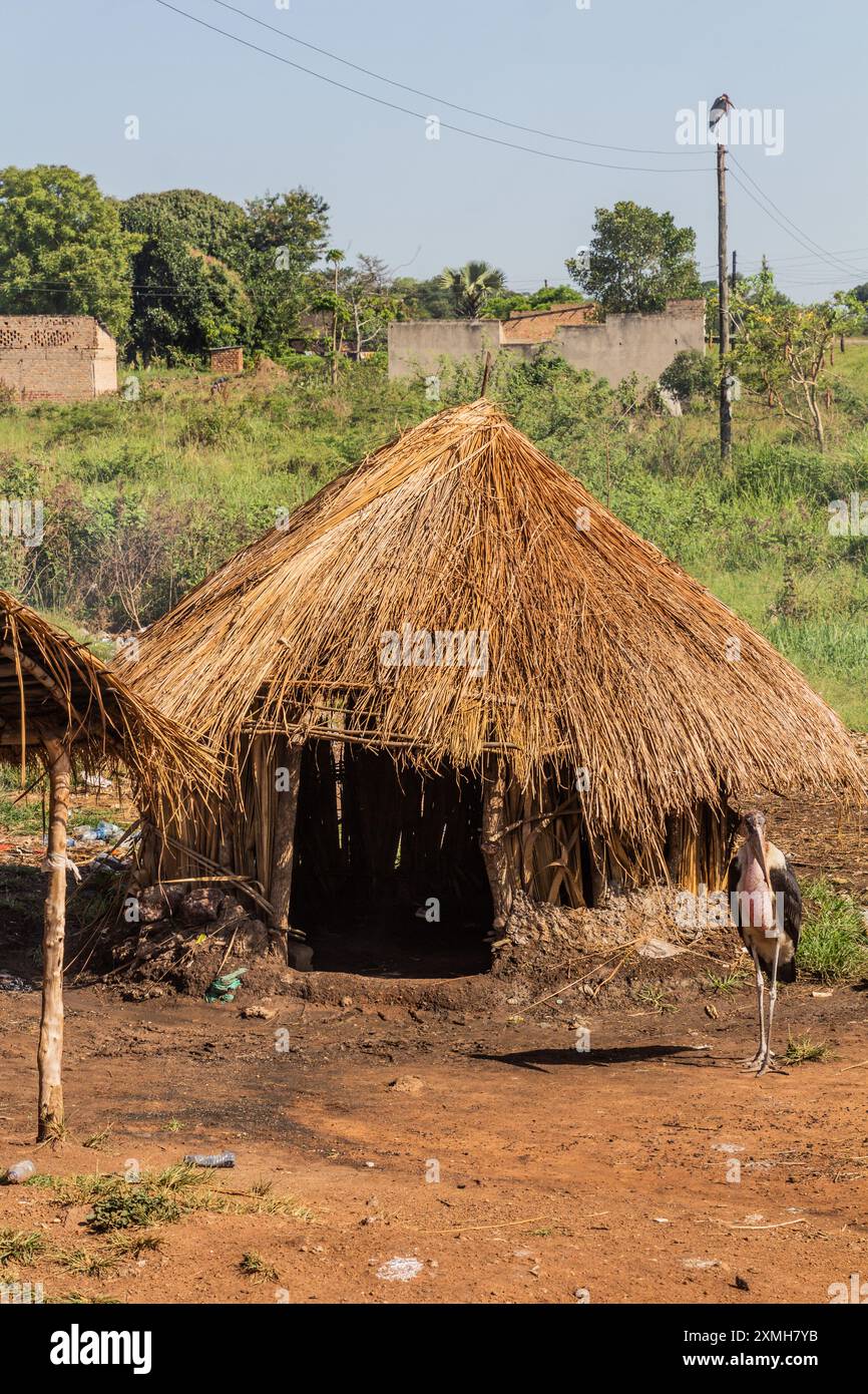 Round hut and a marabou stork in Uganda Stock Photo - Alamy