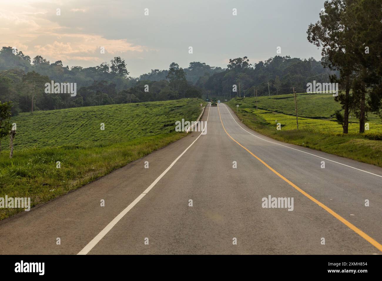 Mubende - Fort Portal road through tea plantations, Uganda Stock Photo ...