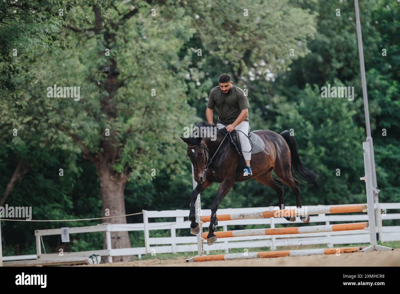 Man riding horse jumping over barrier in outdoor equestrian arena ...