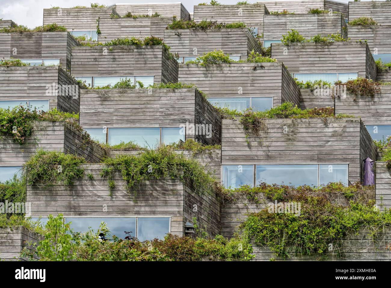 Bjerget The Mountain, VM-House, 8-House, Noma, Amager Bakke, moderne ...