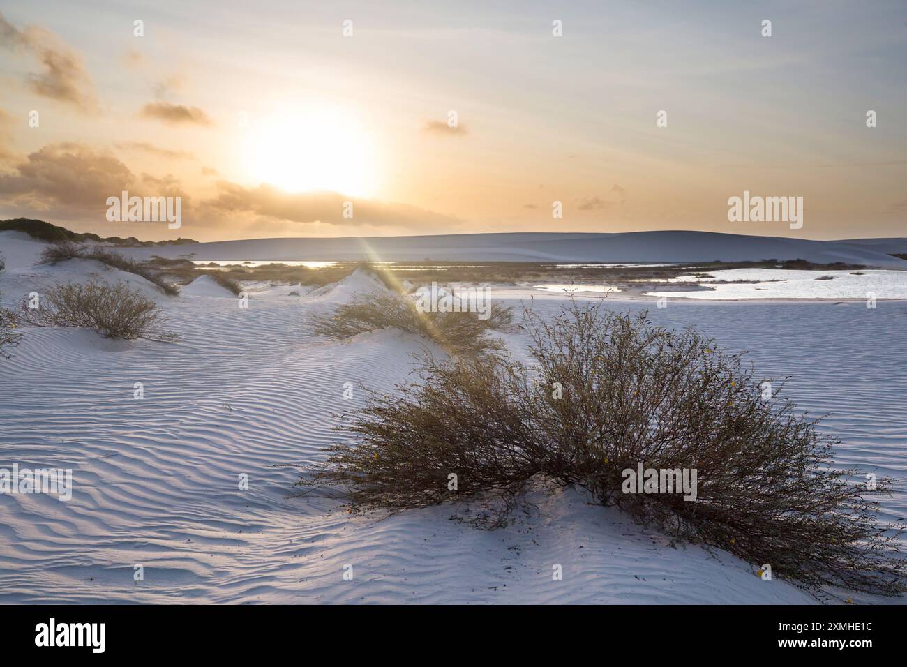 Lagoons in the desert of Lencois Maranhenses National Park, Brazil ...