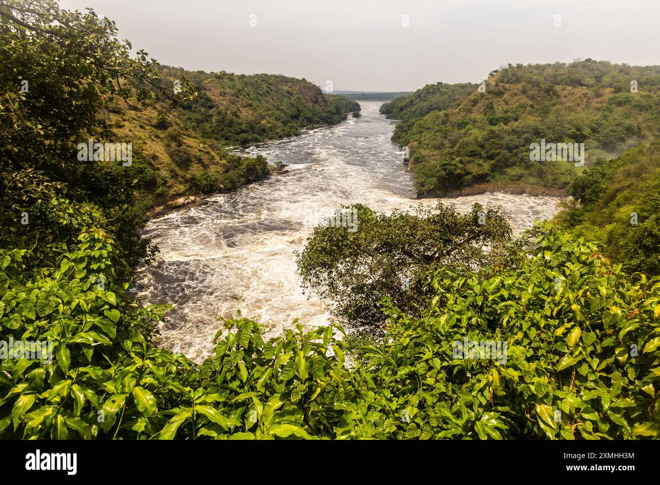 Victoria Nile river under Murchison Falls, Uganda Stock Photo - Alamy