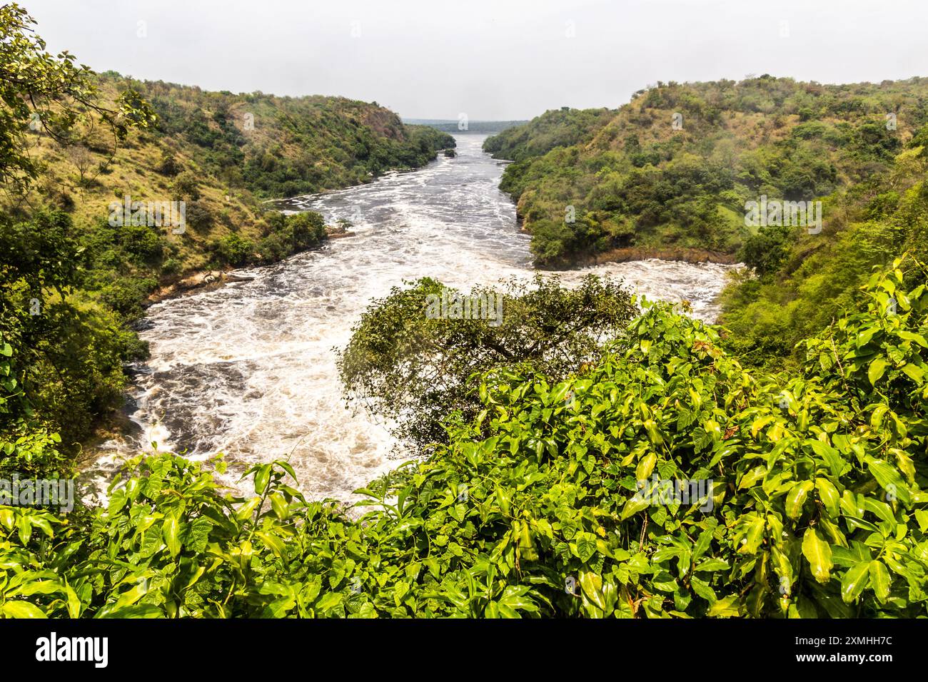Victoria Nile river under Murchison Falls, Uganda Stock Photo - Alamy