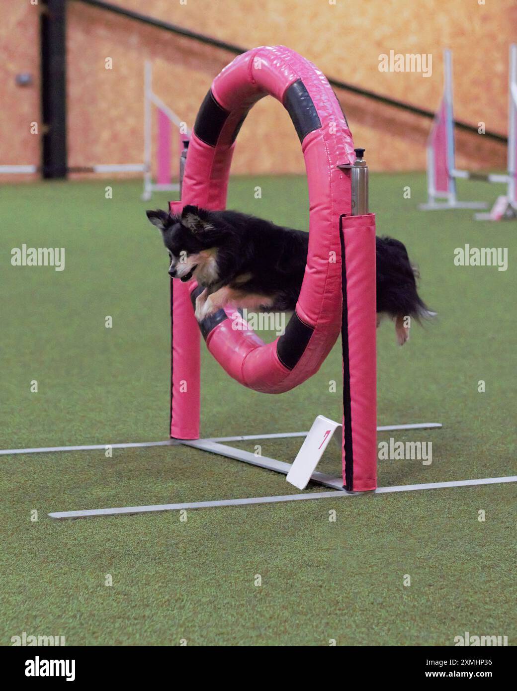 Female long jump mid air hi-res stock photography and images - Alamy
