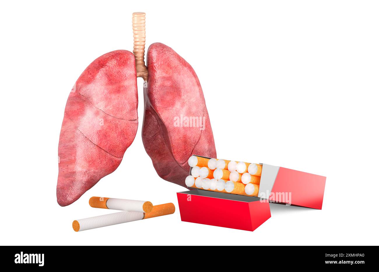 Cigarette pack with human lungs. Lungs disease from smoking, concept ...
