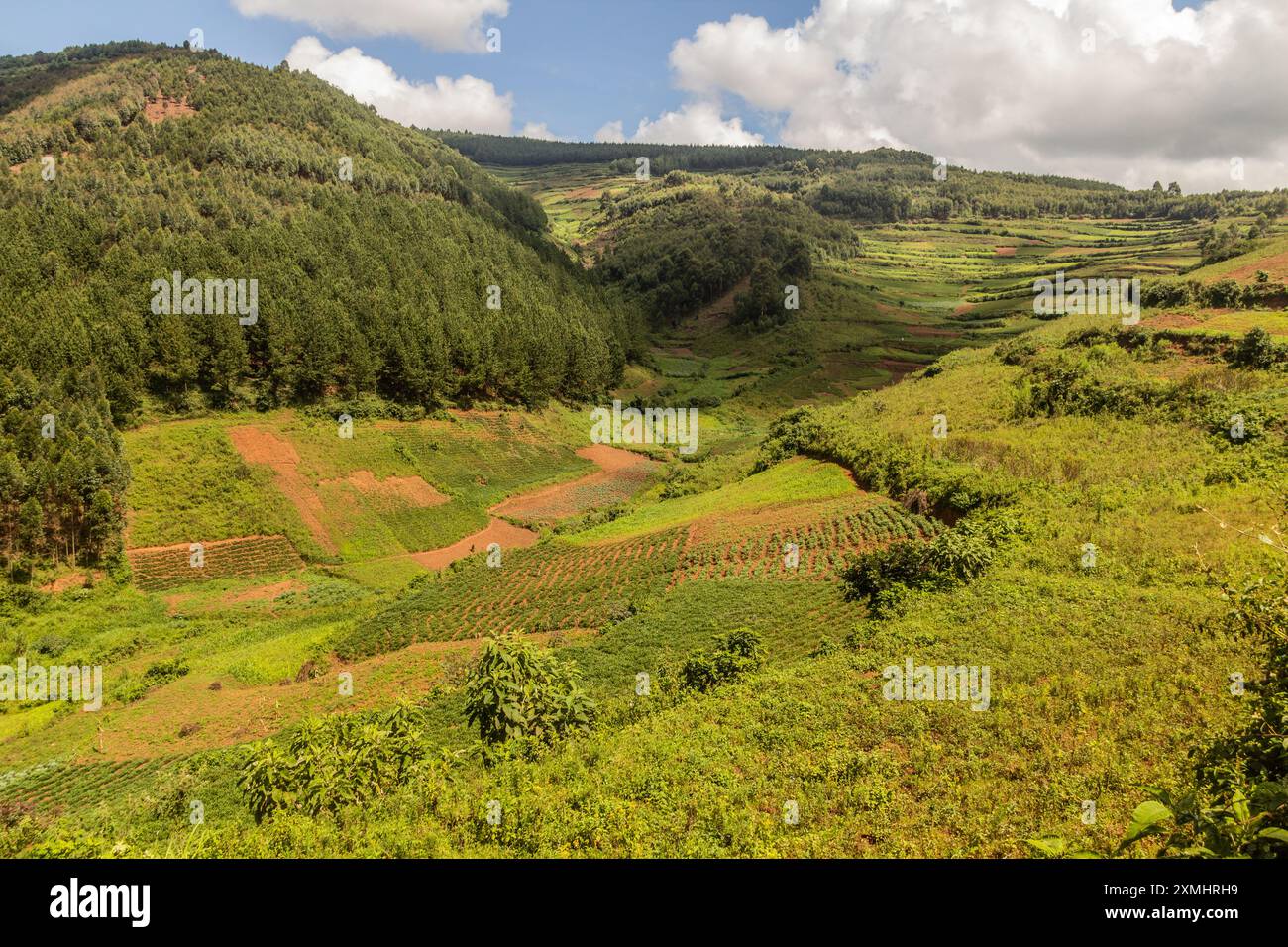 Lush landscape near Kabale, Uganda Stock Photo - Alamy
