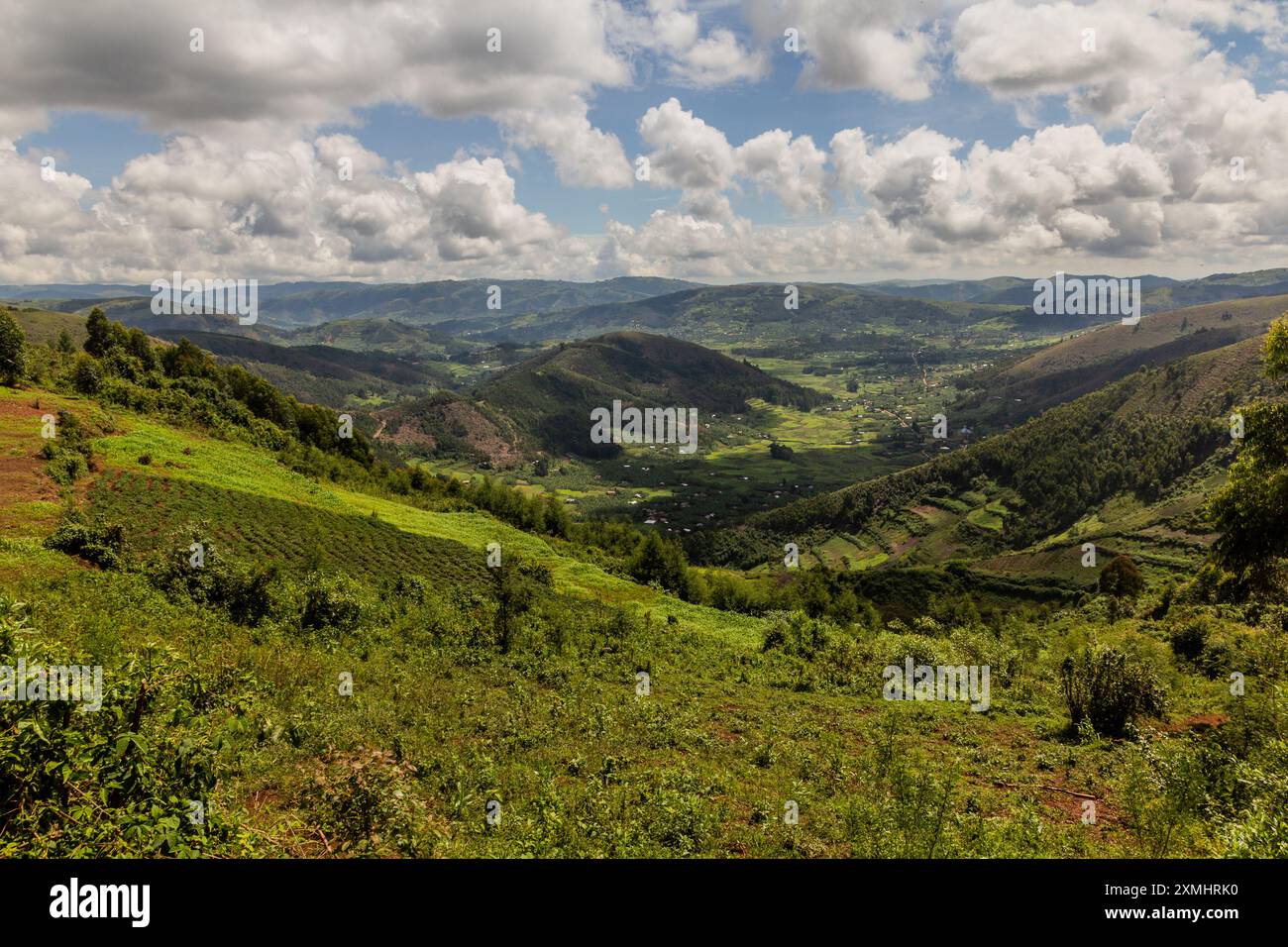 Lush landscape near Kabale, Uganda Stock Photo - Alamy