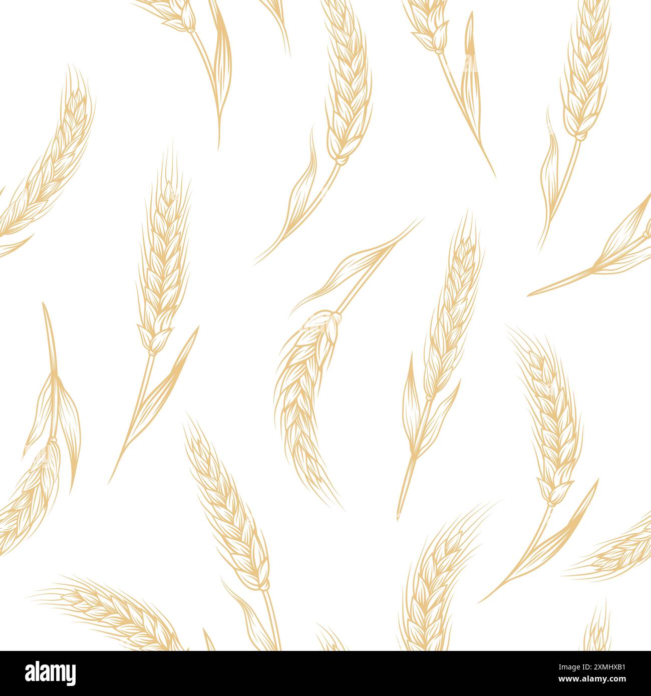 Vector Seamless Pattern with Agriculture Wheat, Cereal Ears. Organic ...