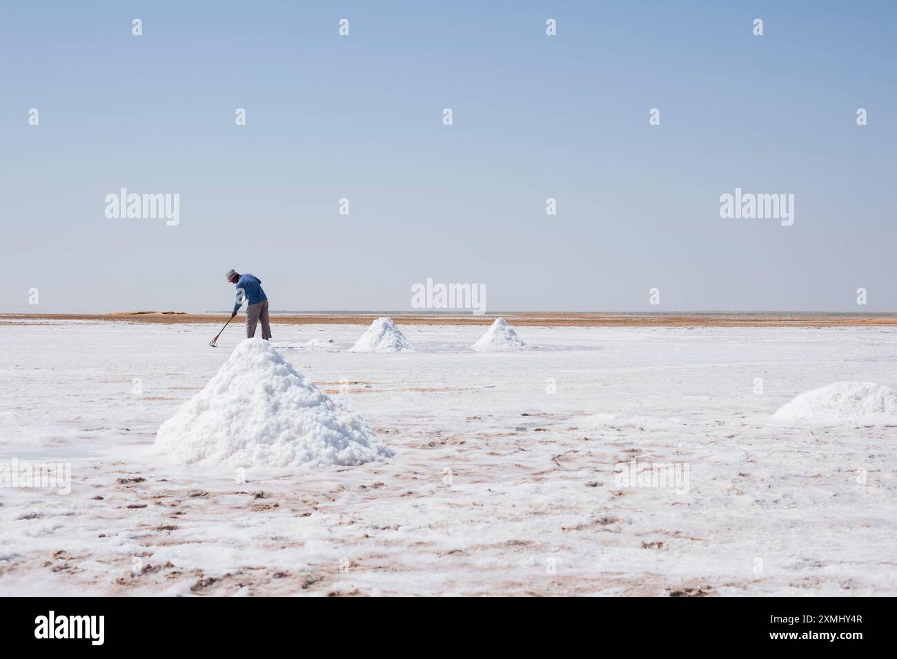 Worker gathering salt in the Sultanate of Oman’s desert Stock Photo - Alamy